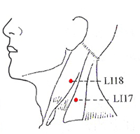 Large Intestine Meridian - 'Minister of Transportation'