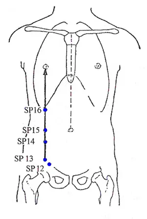 Spleen Meridian Acupuncture Points Medicine Chinese Meridians Yin ...