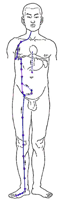 Spleen Meridian - Seat of thoughts and intentions